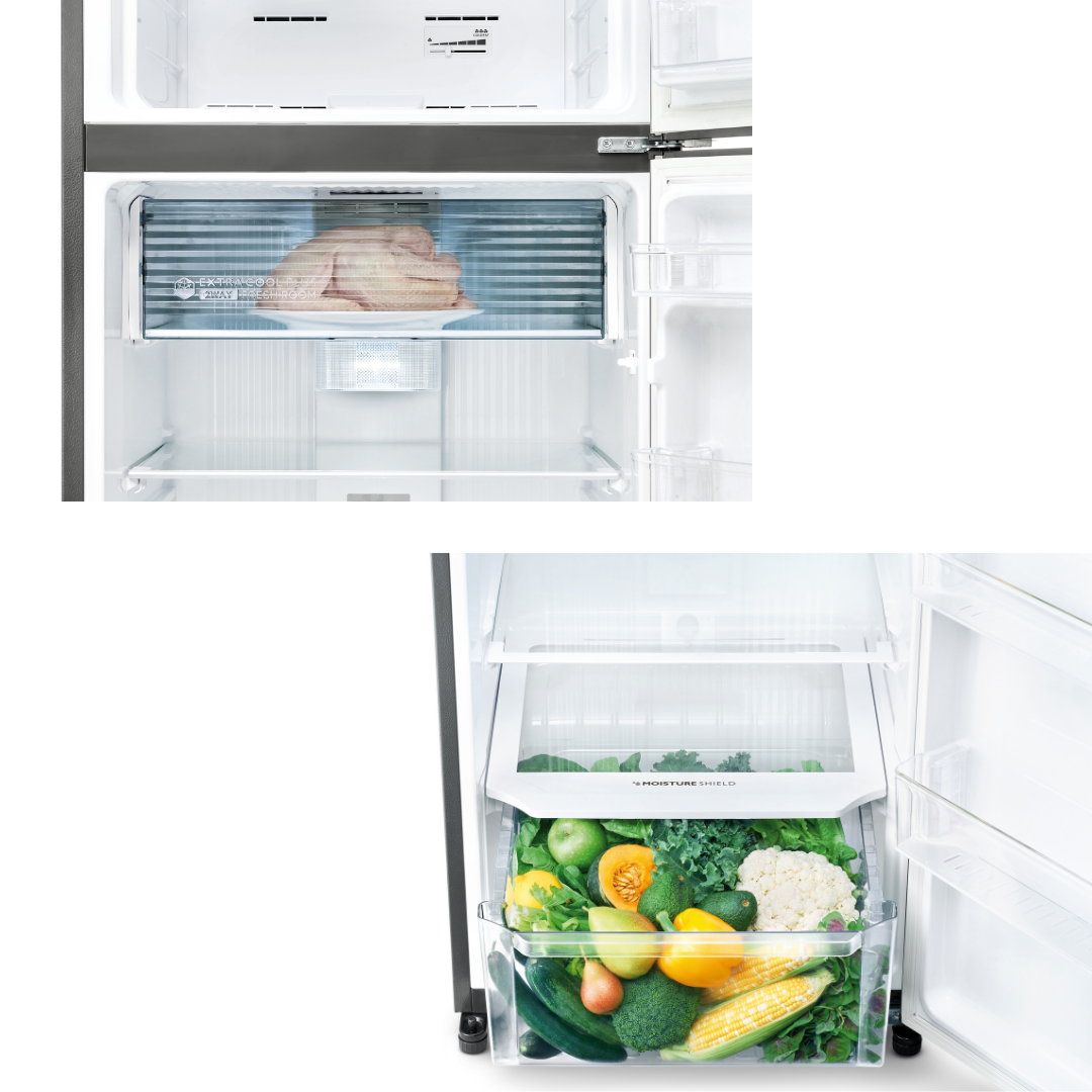SHARP SJ-RF36E-DS 360L 2 DOOR TOP FREEZER REFRIGERATOR | Asia Excel